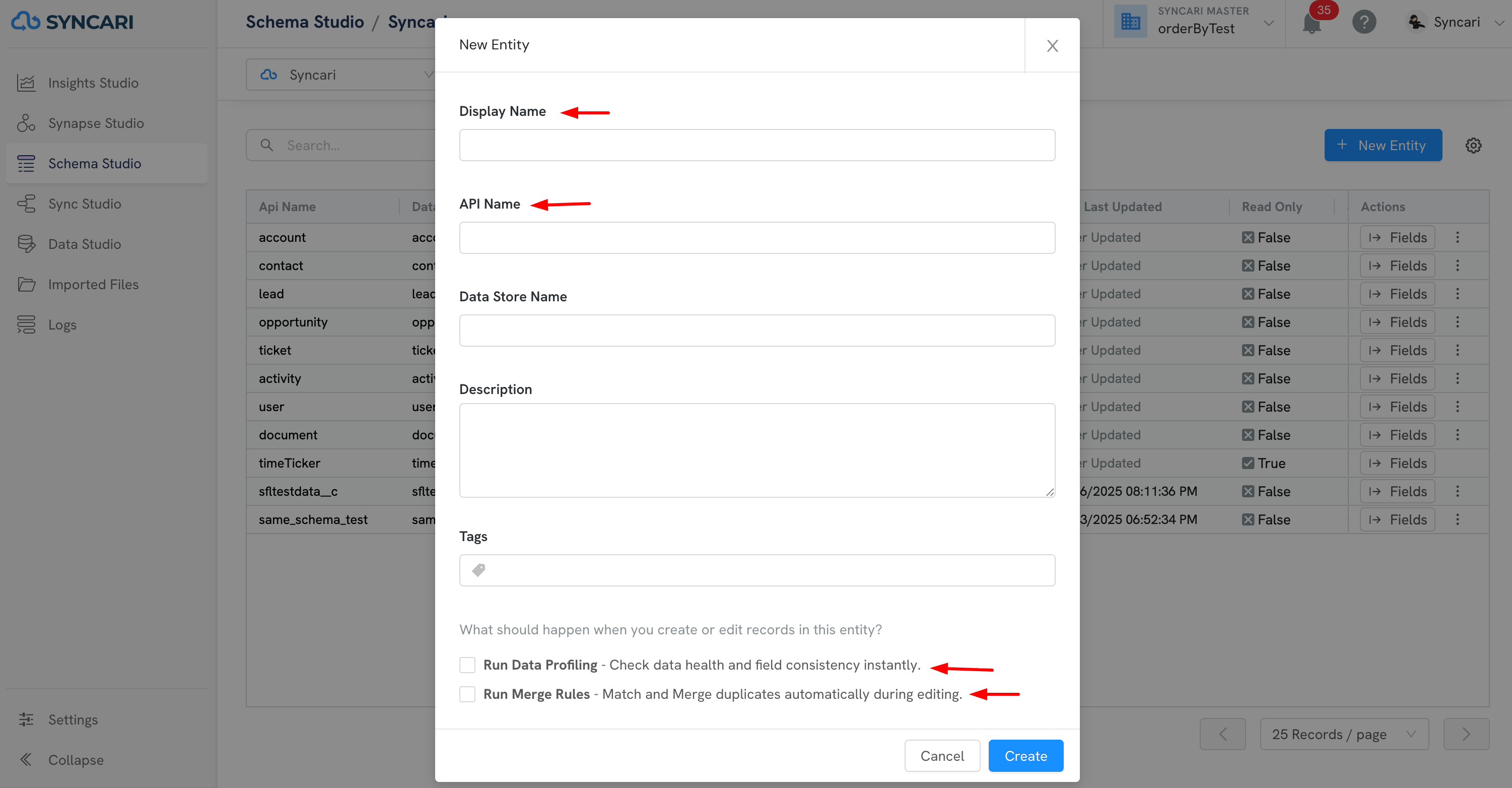 Creating Entities in Schema Studio – Syncari